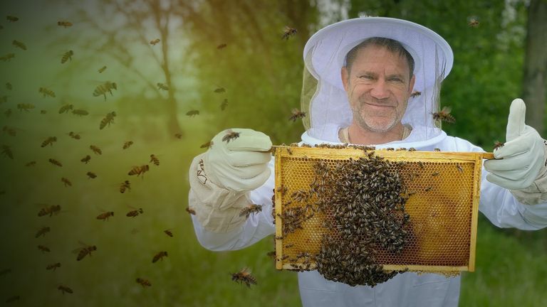 Secret Life Of Bees Images ABC News: Discovering The Secret Life Of